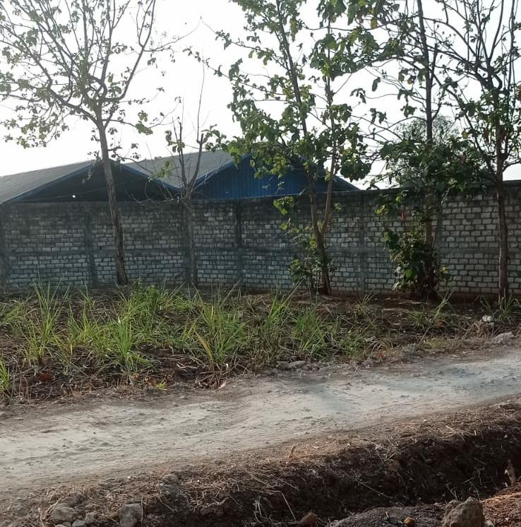 Kandang Ayam Milik Miss Yun Cemari Lingkungan | Restorasi Hukum