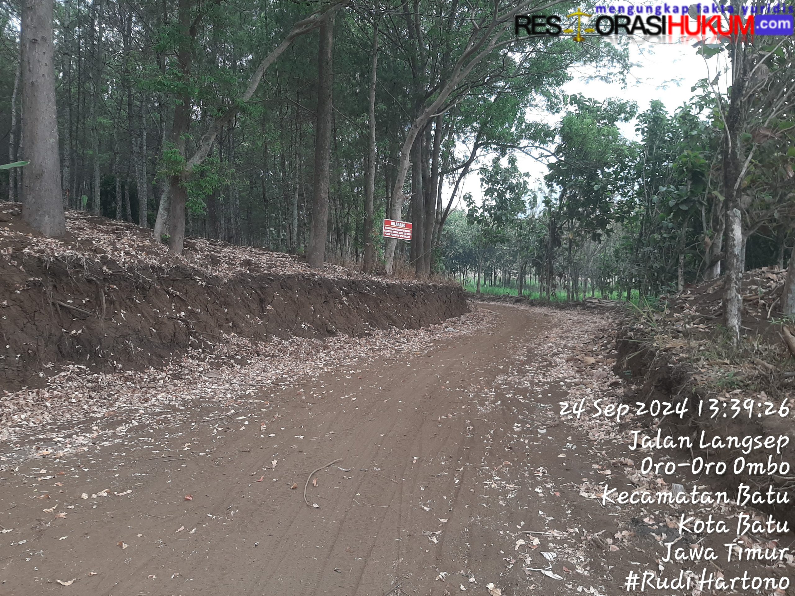 Edan CV Marisukakoi Diduga Merusak Hutan Seluas 1 Hektar Lebih ...